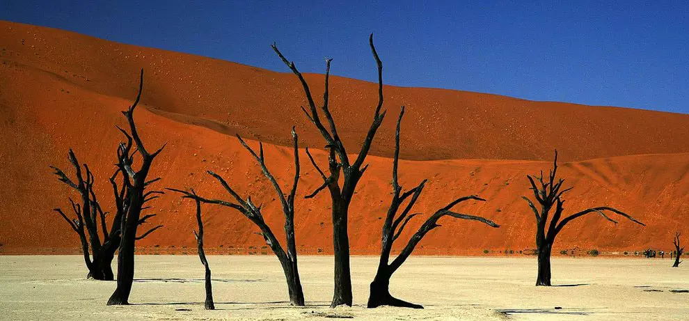 Dead Valley yn 'e Namib Desert 9704_14