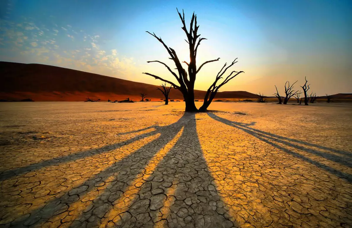 Dead Valley yn 'e Namib Desert 9704_15