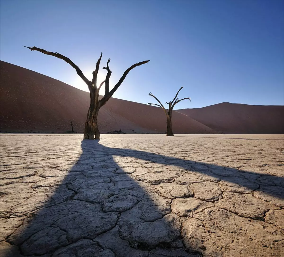 Dead Valley yn 'e Namib Desert 9704_16