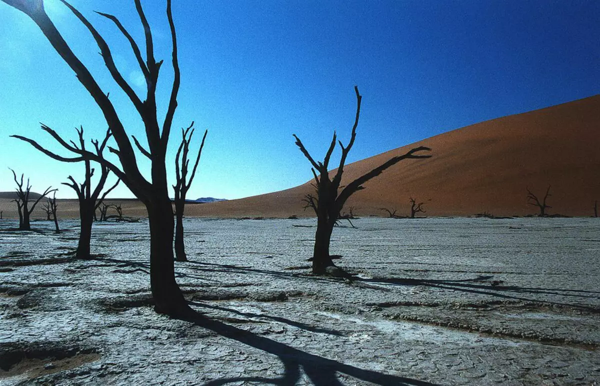 Dead Valley yn 'e Namib Desert 9704_17