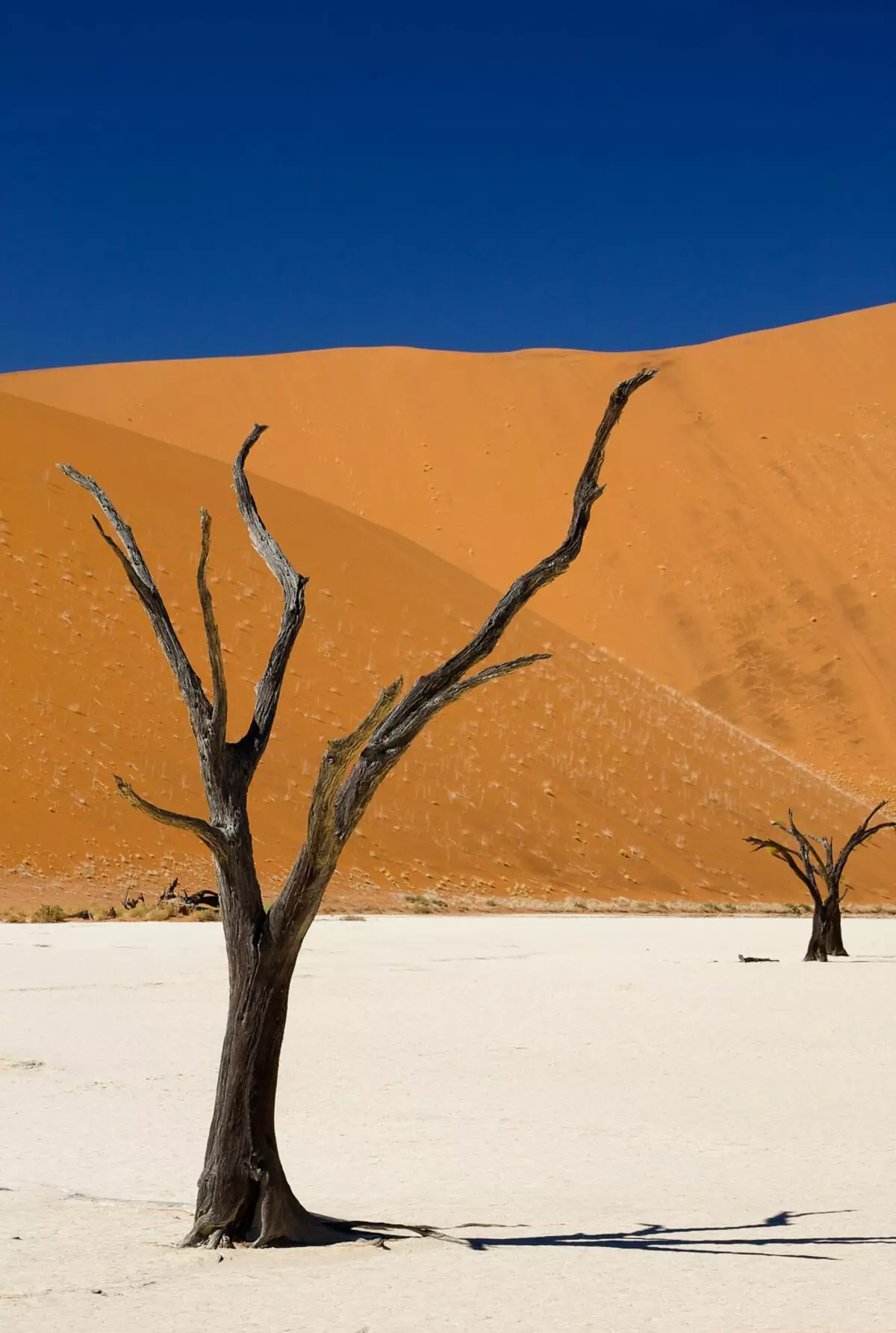 Dead Valley yn 'e Namib Desert 9704_18