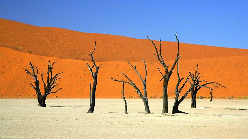 Dead Valley yn 'e Namib Desert 9704_19