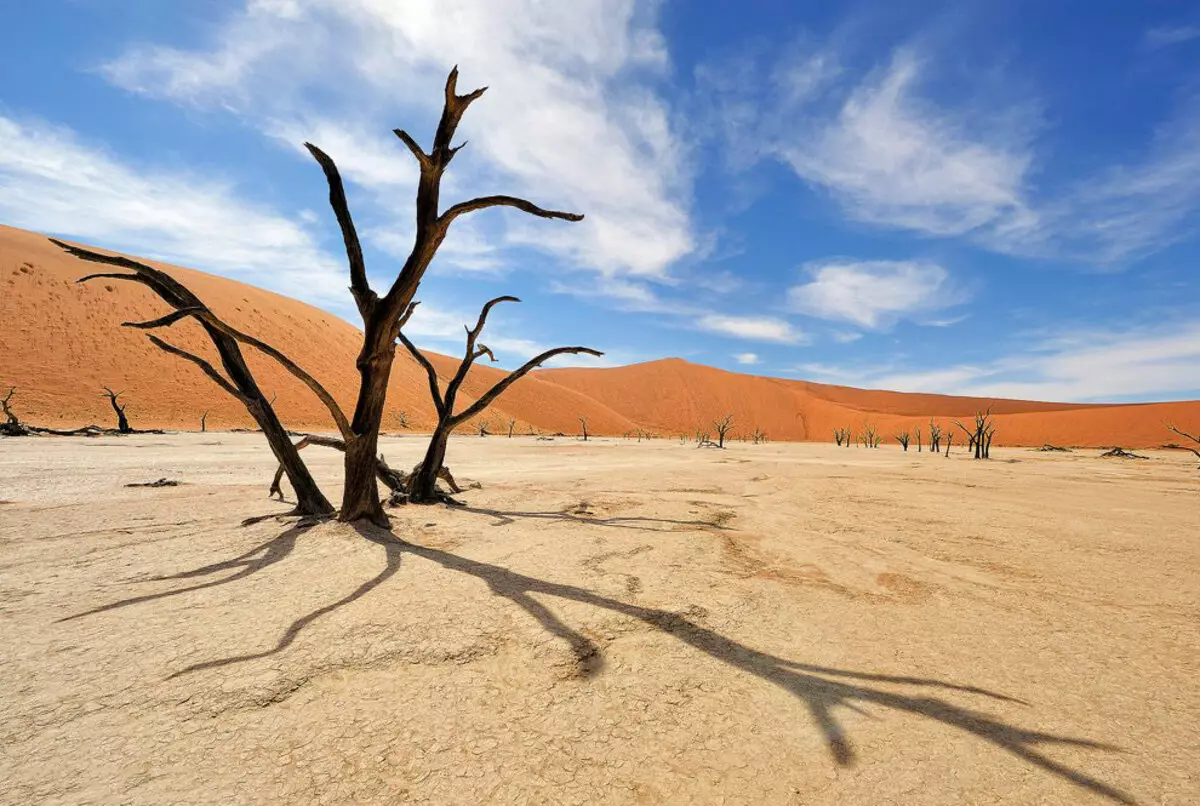 Dead Valley yn 'e Namib Desert 9704_20