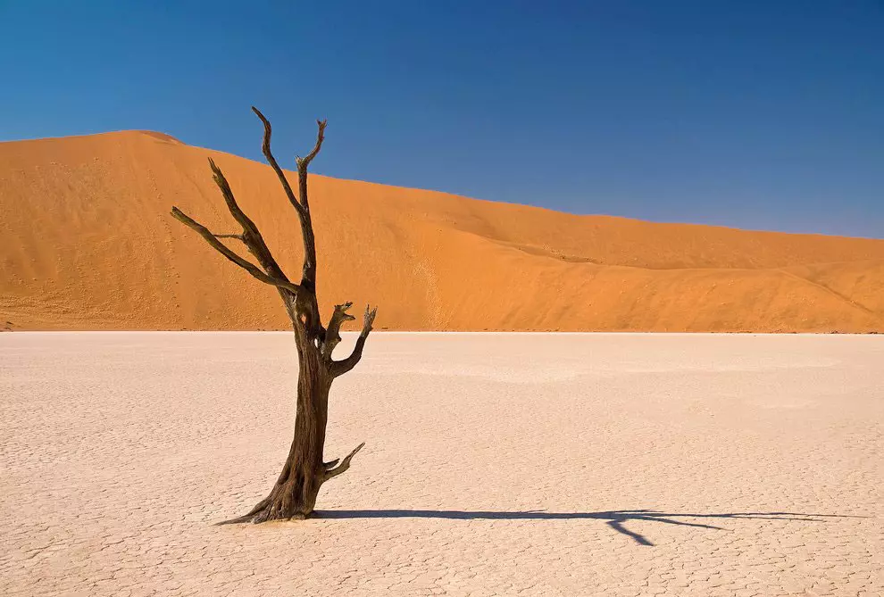 Dead Valley yn 'e Namib Desert