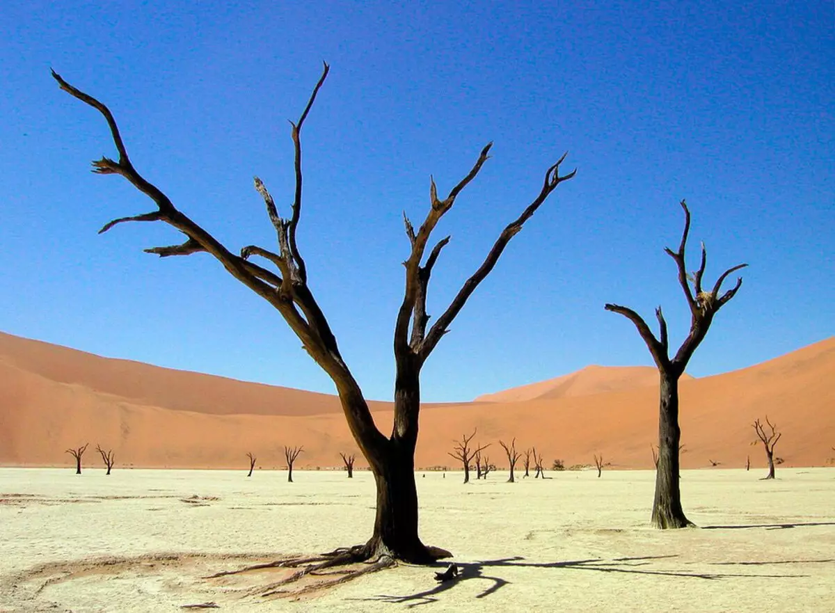 Dead Valley yn 'e Namib Desert