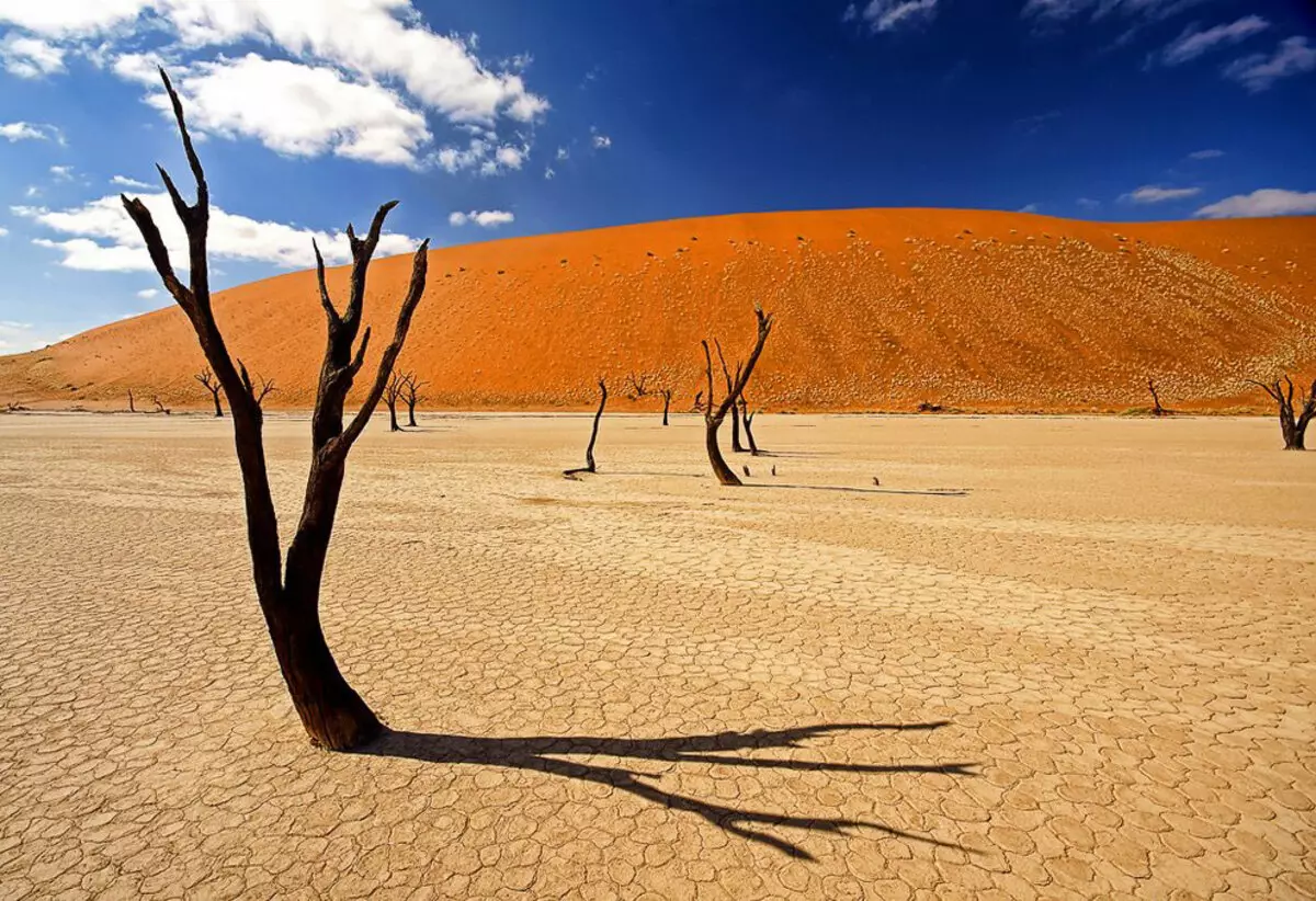 Dead Valley yn 'e Namib Desert