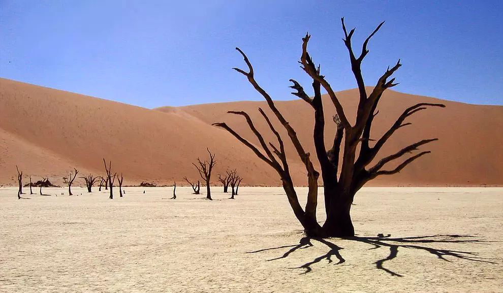 Dead Valley yn 'e Namib Desert