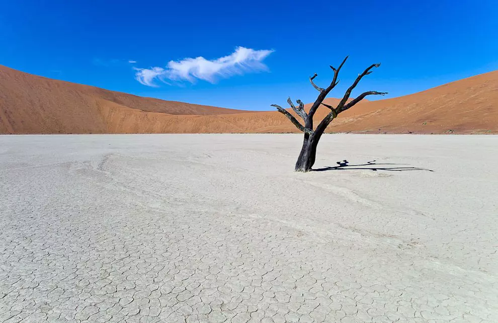 Dyffryn marw yn Anialwch Namib