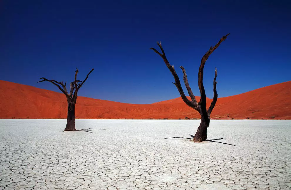 Dyffryn marw yn Anialwch Namib