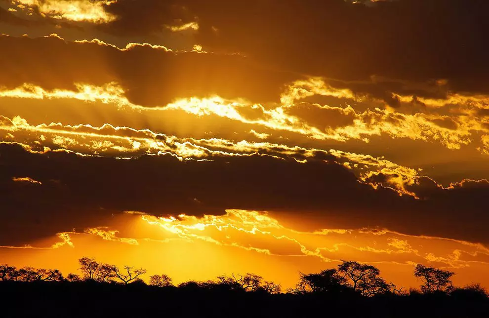 Martwa dolina na pustyni Namib