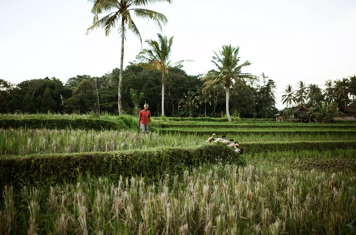 Progetto fotografico su Bali Island