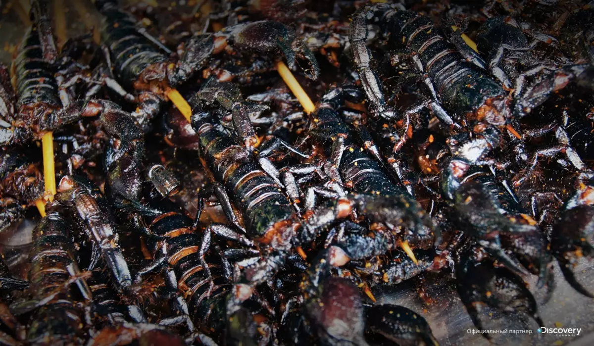 Makanan yang mengecewakan, kerana mereka pergi ke tepi cahaya