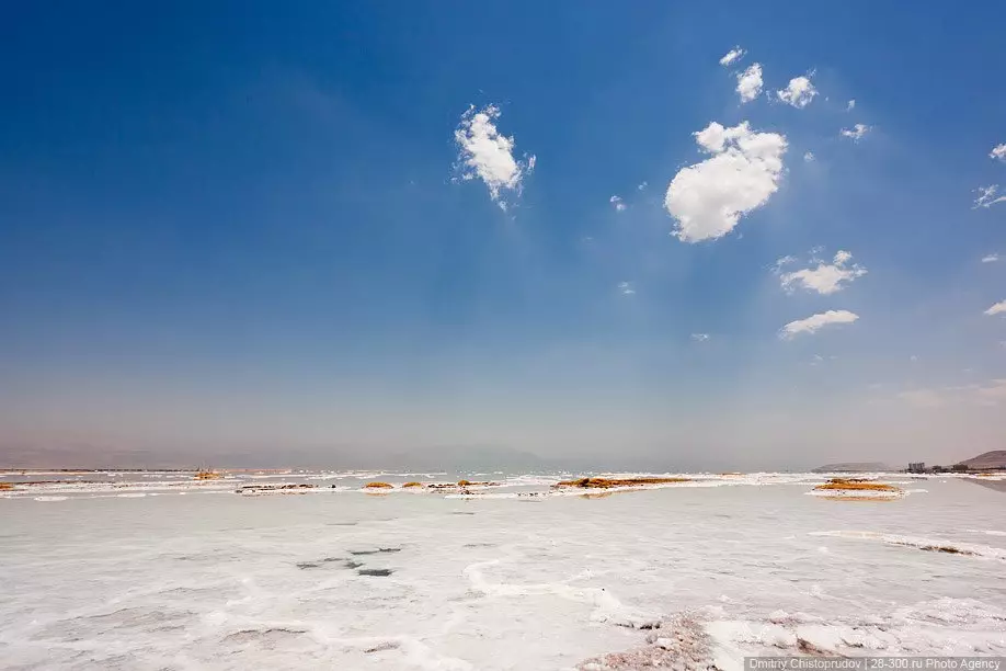 Onde o mar morto desaparece 9739_5