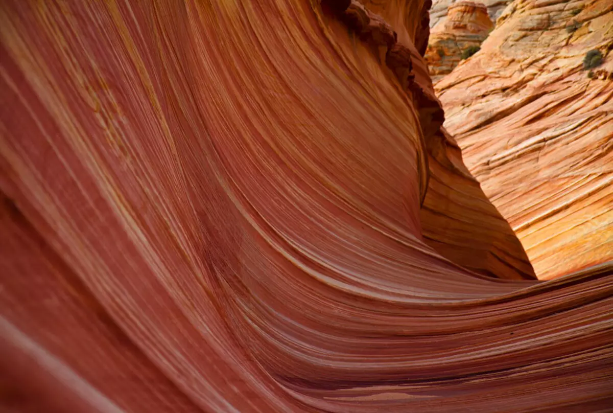 Frozen Wave Arizona 9744_11