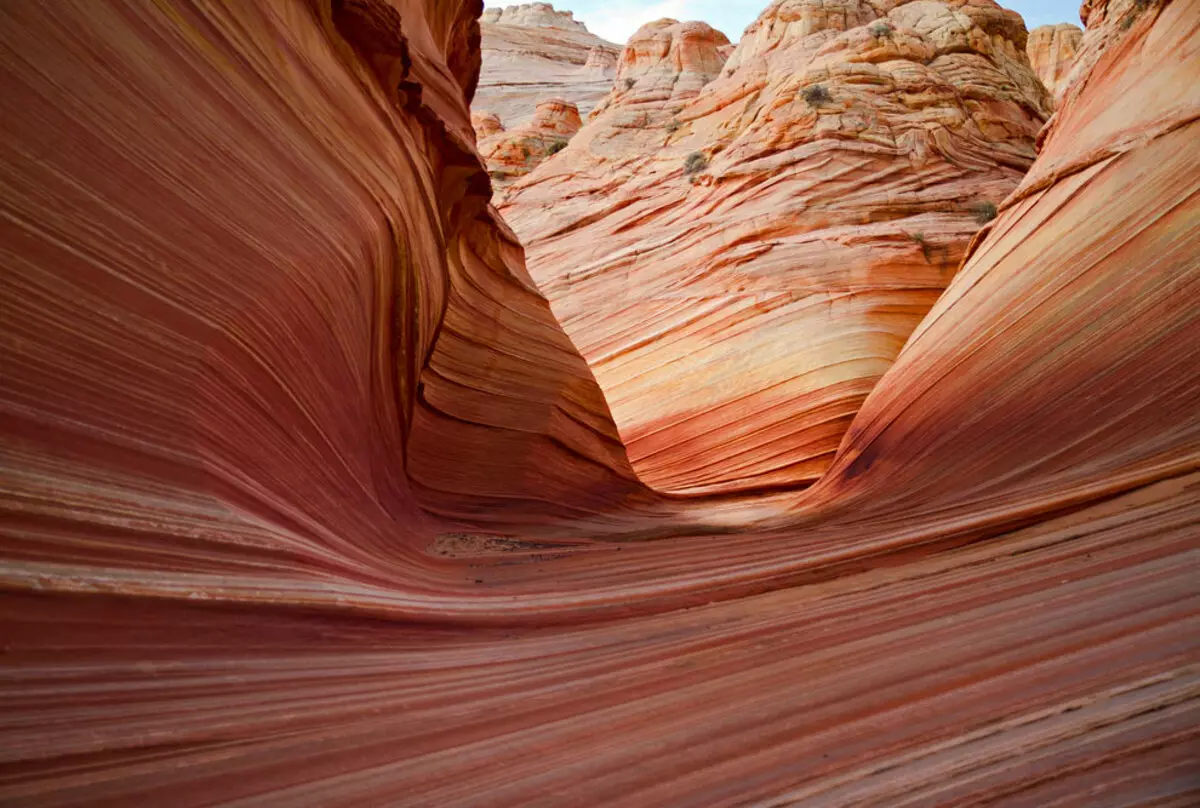 Frozen wave Arizona 9744_14