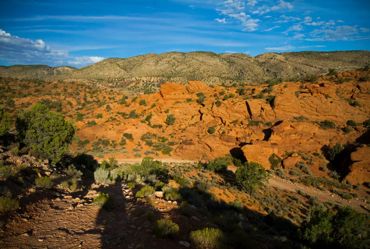 Wave Frozen Arizona. 9744_3