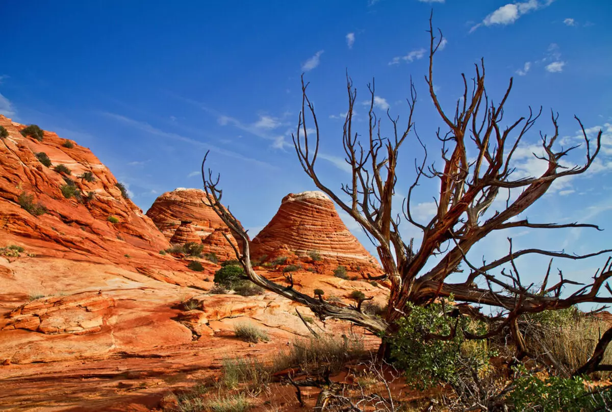 Frozen Wave Arizona. 9744_8