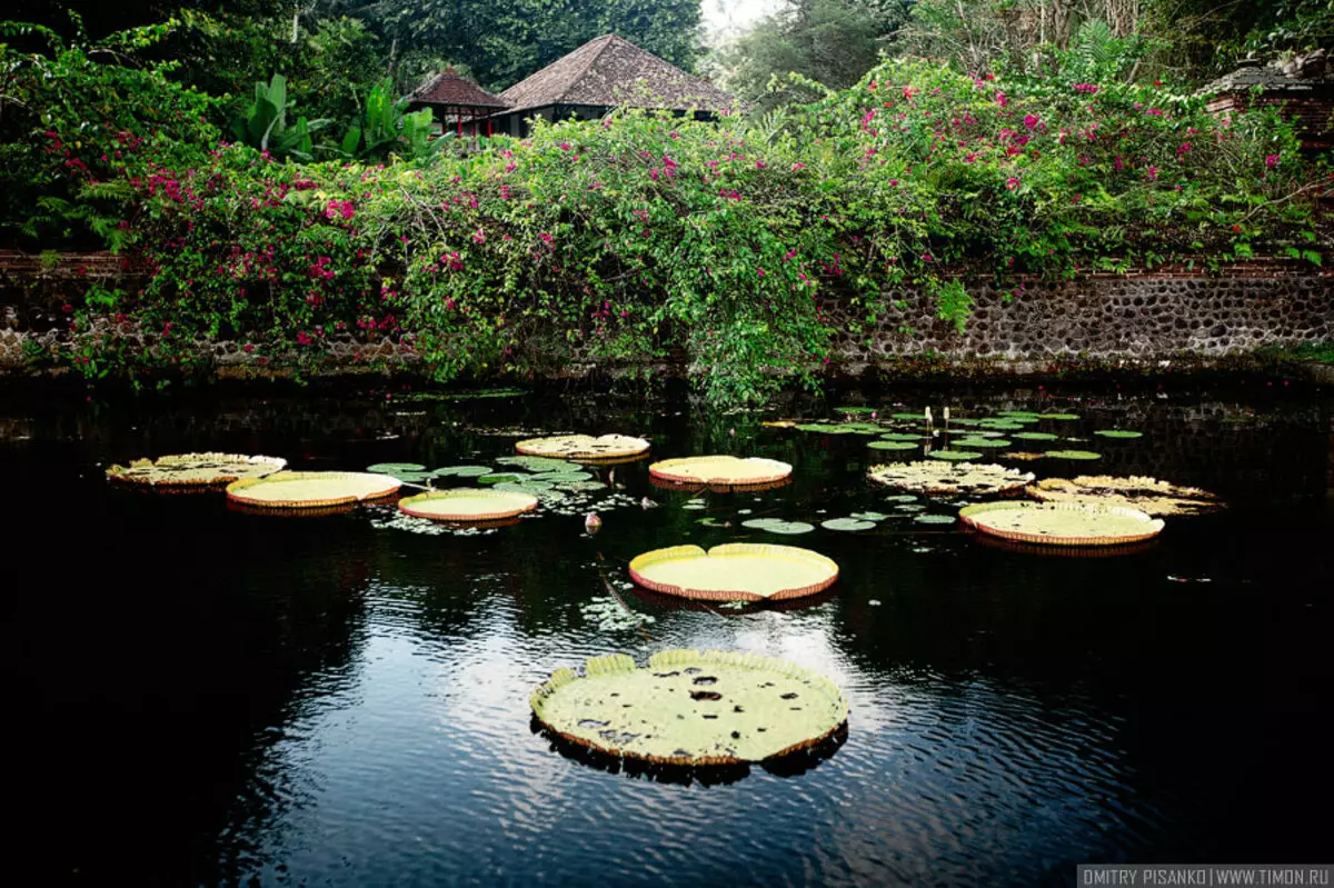 Vodní palác Tirtagangu na Bali 9745_11