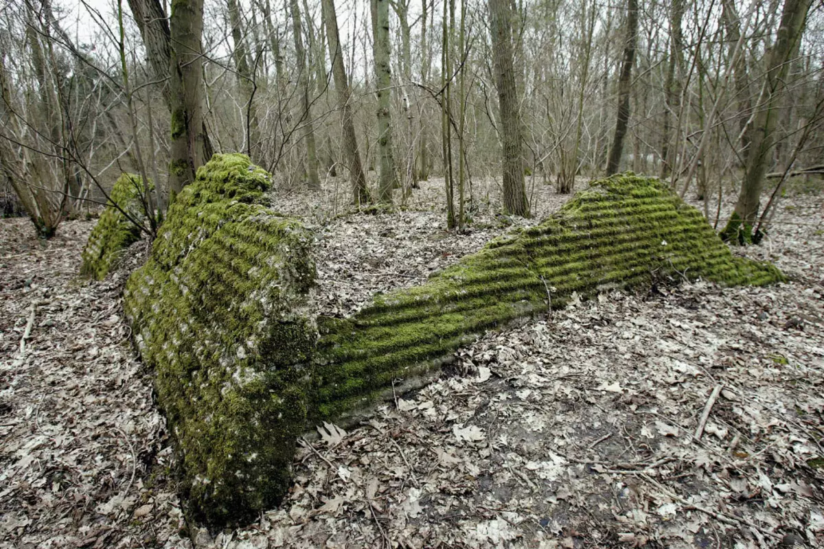 Die oorblyfsels van die bunker tye van die Eerste Wêreldoorlog in Pelogeret, België