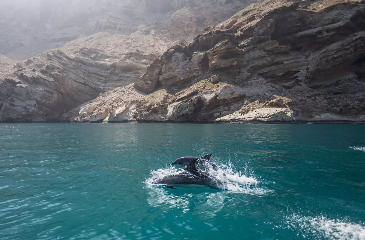 Socotra incrível no Oceano Índico 9857_10