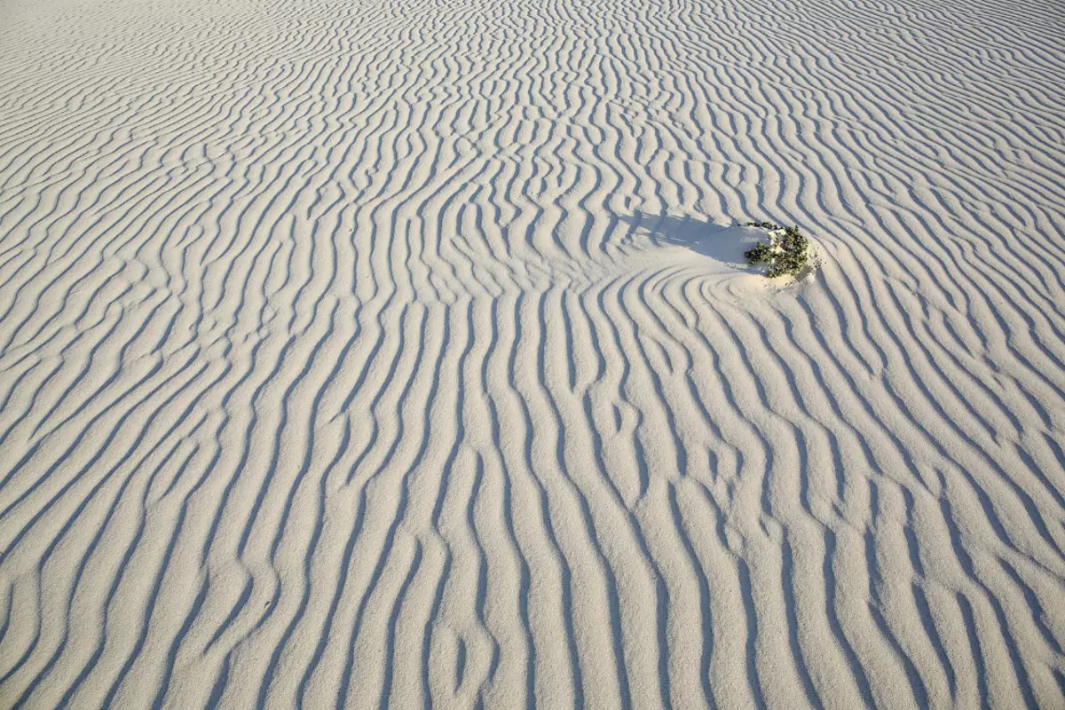 Socotra anhygoel yn y Cefnfor India 9857_13