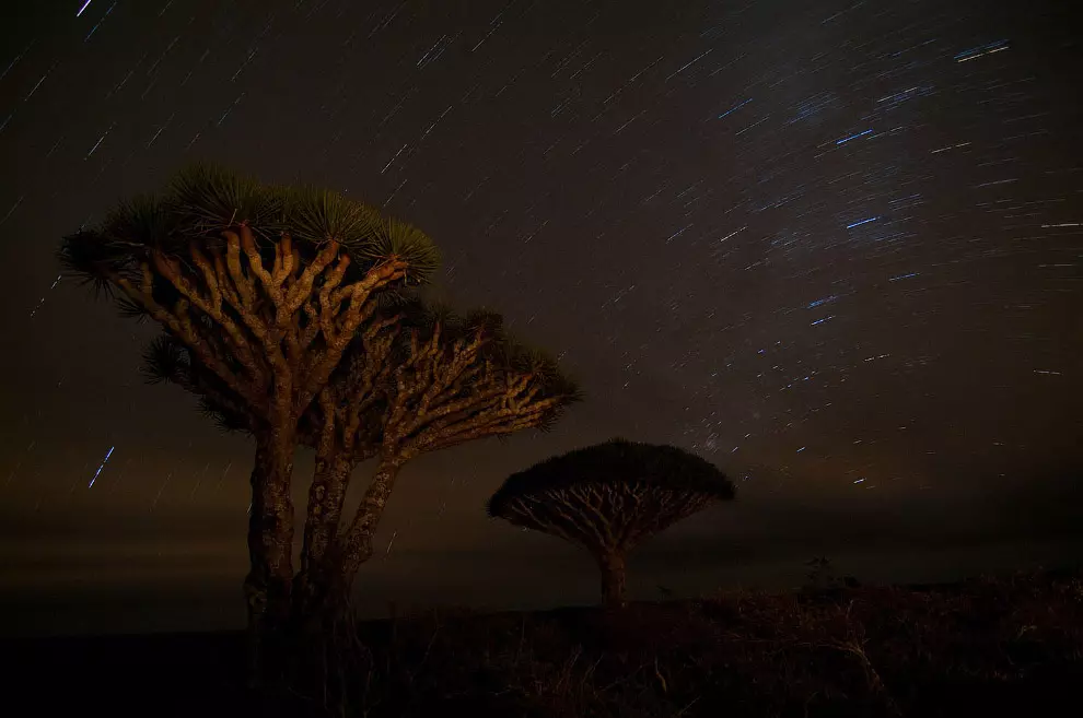 Niesamowita Socotra na Oceanie Indyjskim 9857_18