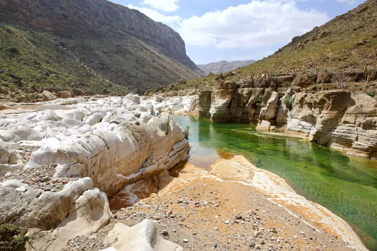 Socotra anhygoel yn y Cefnfor India 9857_20