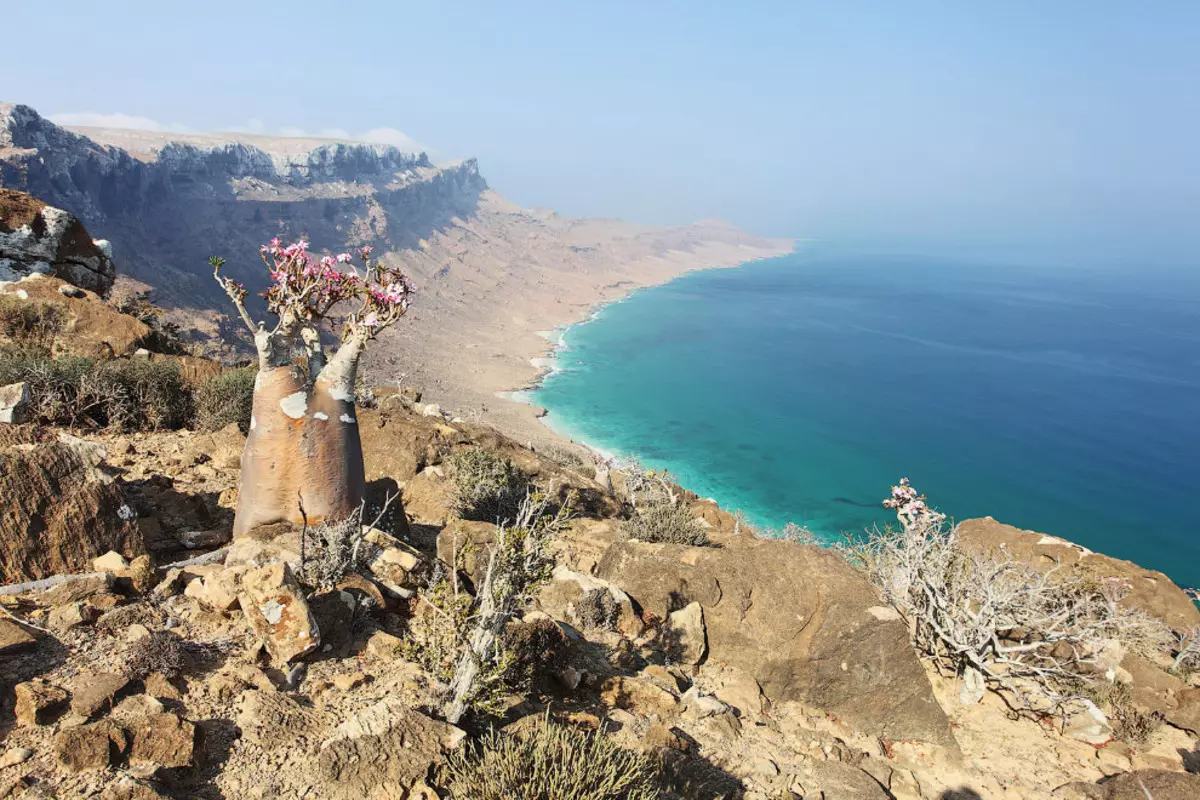 Socotra no Oceano Índico