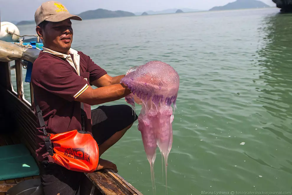 Tsibirin Bond da Pang Nga Bay 9915_18