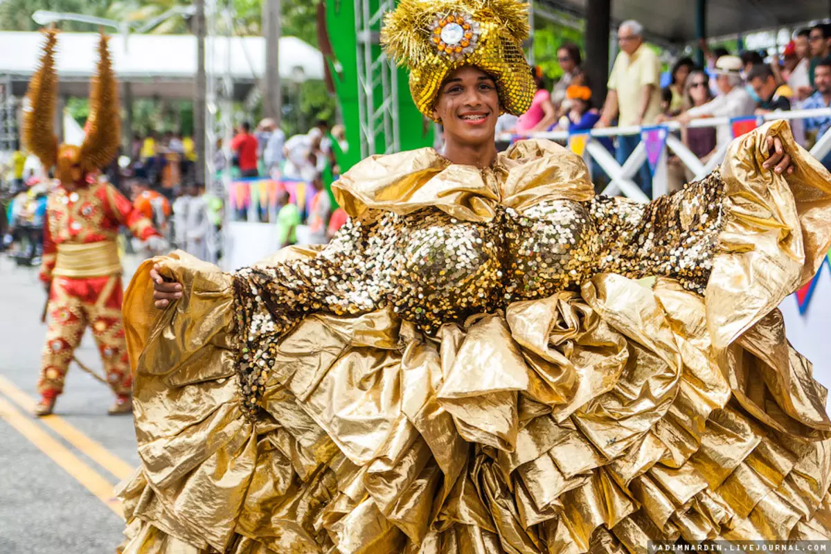 Toate culorile curcubeului pe carnaval în Republica Dominicană 9917_12