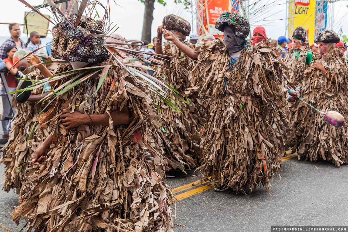 Tutti i colori dell'arcobaleno sul Carnevale in Repubblica Dominicana 9917_15