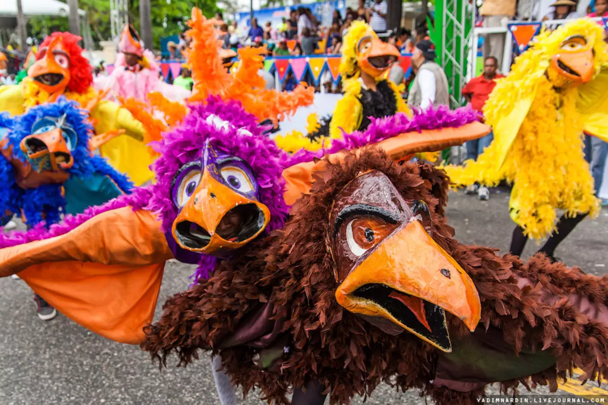 Tutti i colori dell'arcobaleno sul Carnevale in Repubblica Dominicana 9917_19