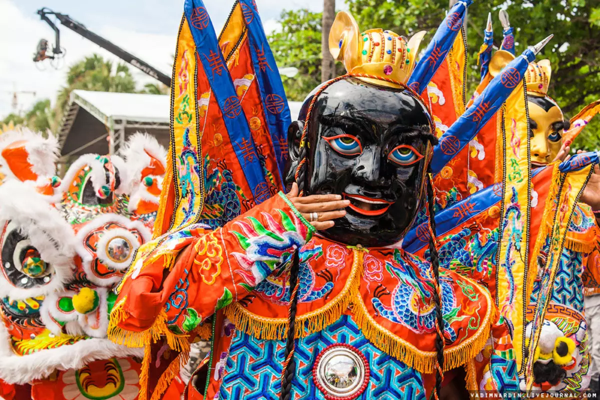 Toate culorile curcubeului pe carnaval în Republica Dominicană 9917_6