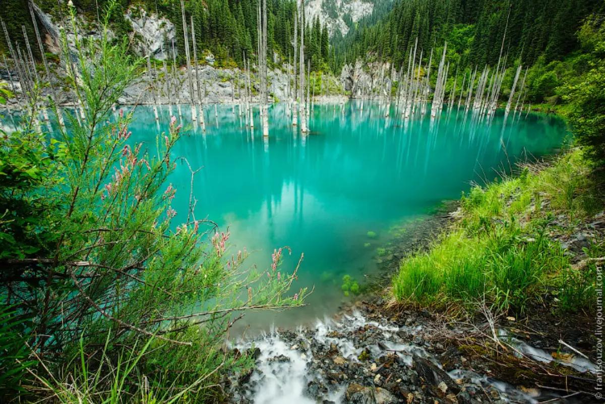 Tasik Cains: Hutan Tenggelam 9928_1