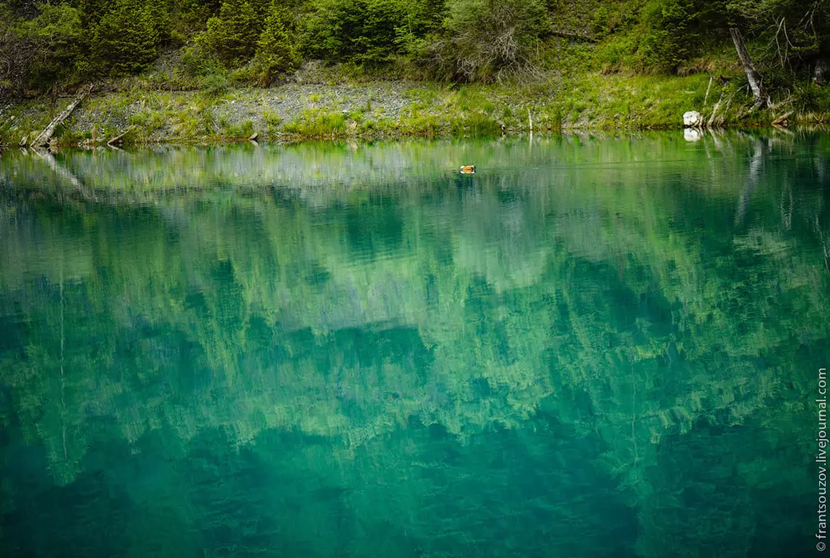 Lake Cains: ป่าจมน้ำ 9928_10