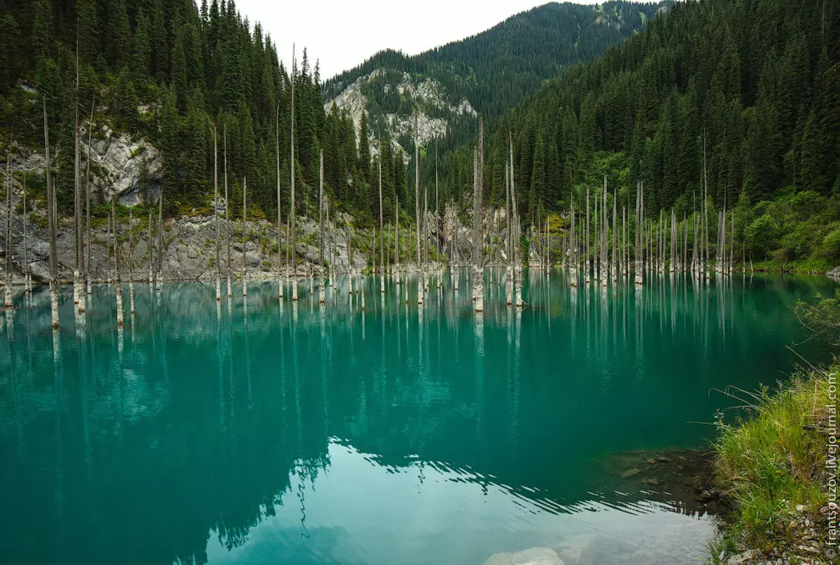 Lac Cains: Forêt noyée 9928_12