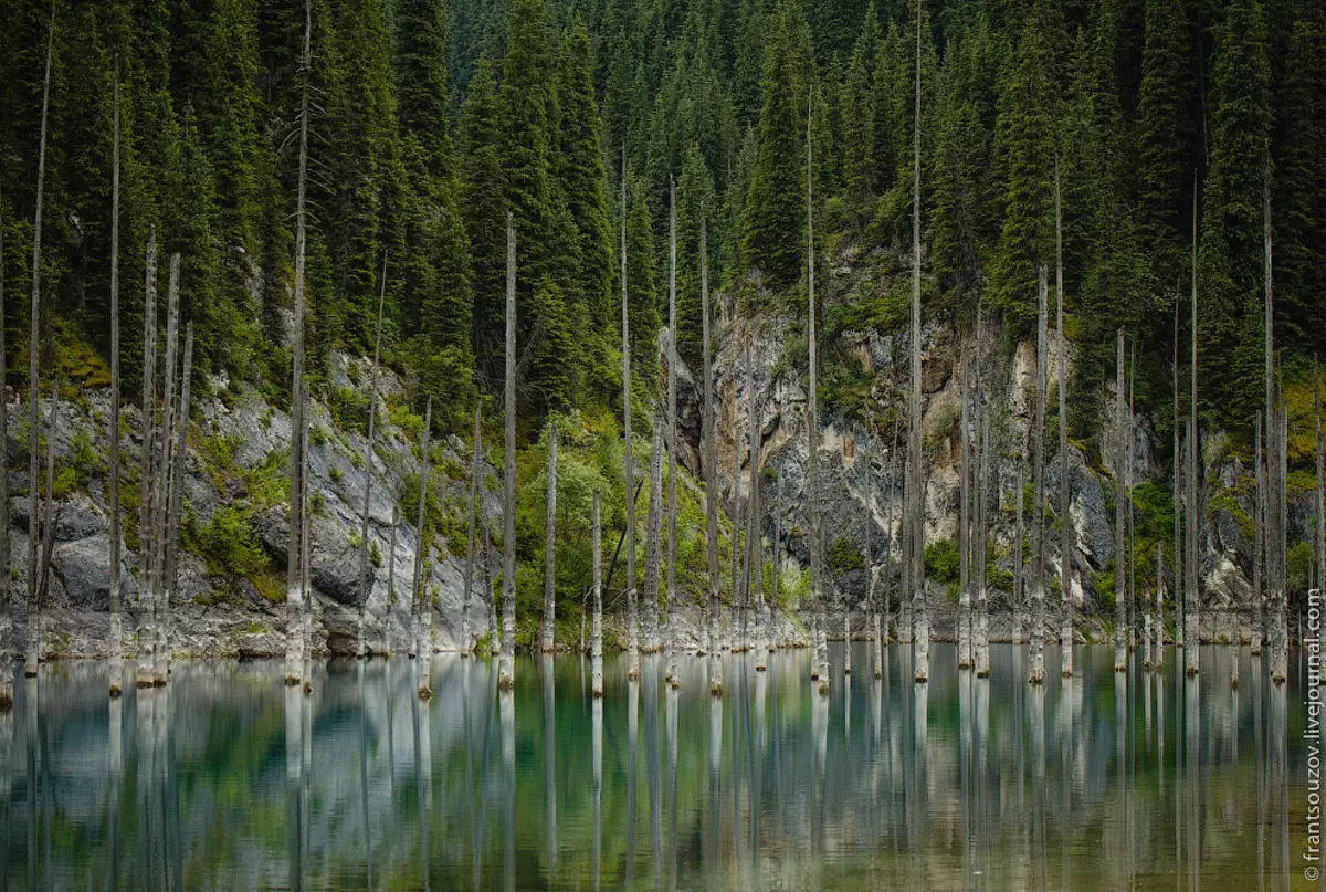 Lacul Câină: Pădurea înecată