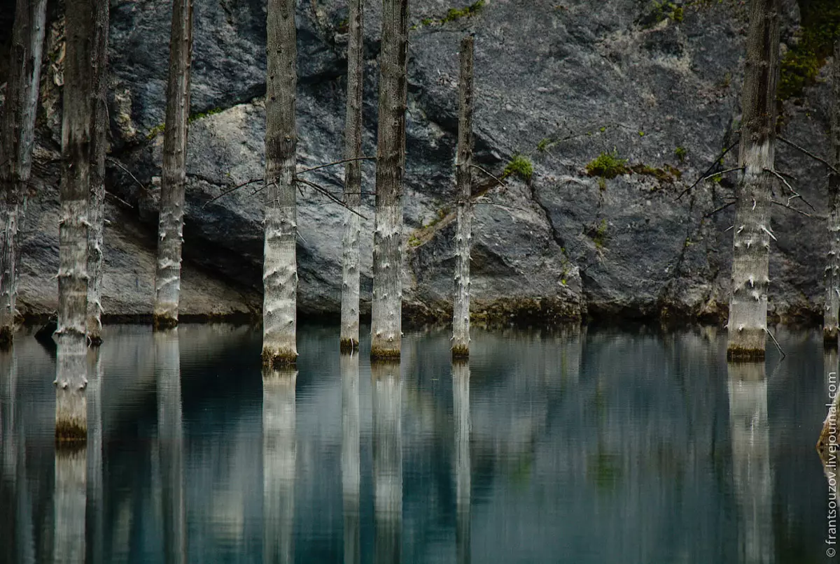 Lac Cains: Forêt noyée