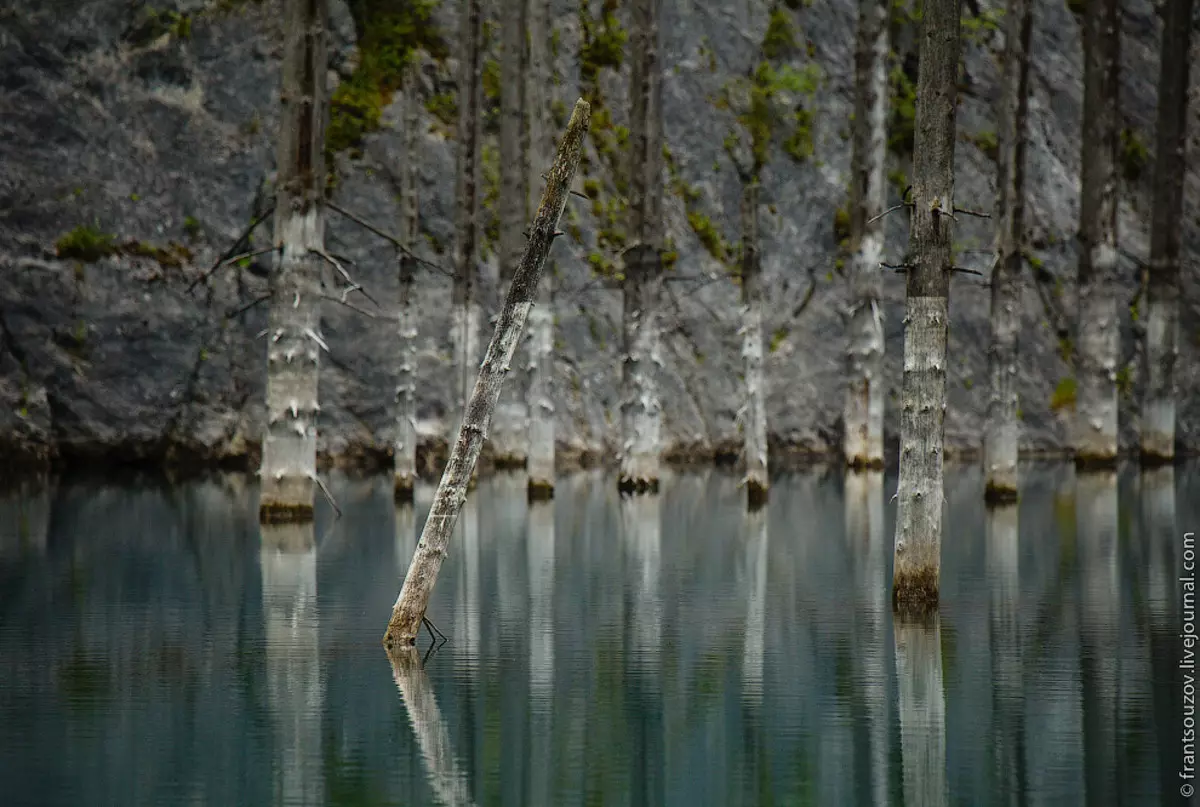 Lac Cains: Forêt noyée