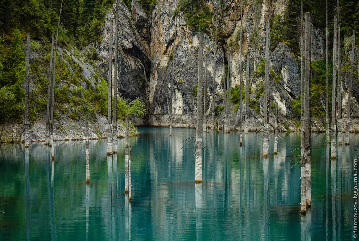 Lac Cains: Forêt noyée