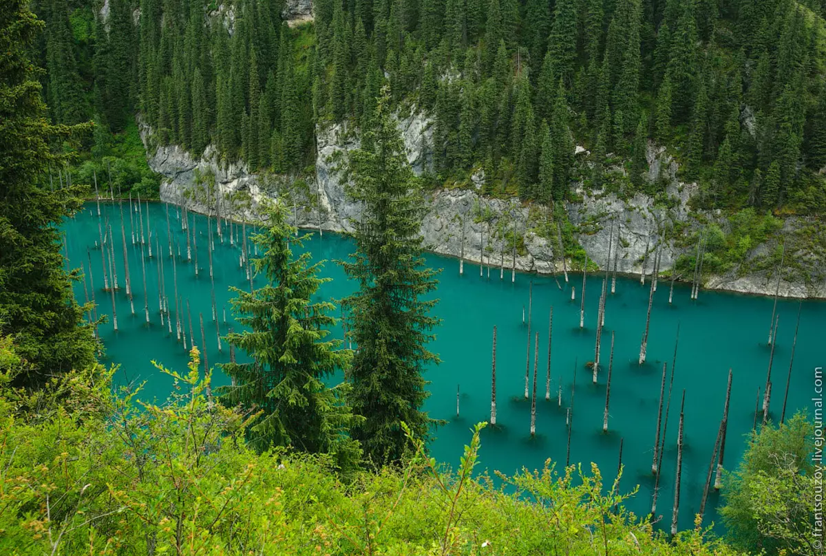 Lake Cains: ป่าจมน้ำ