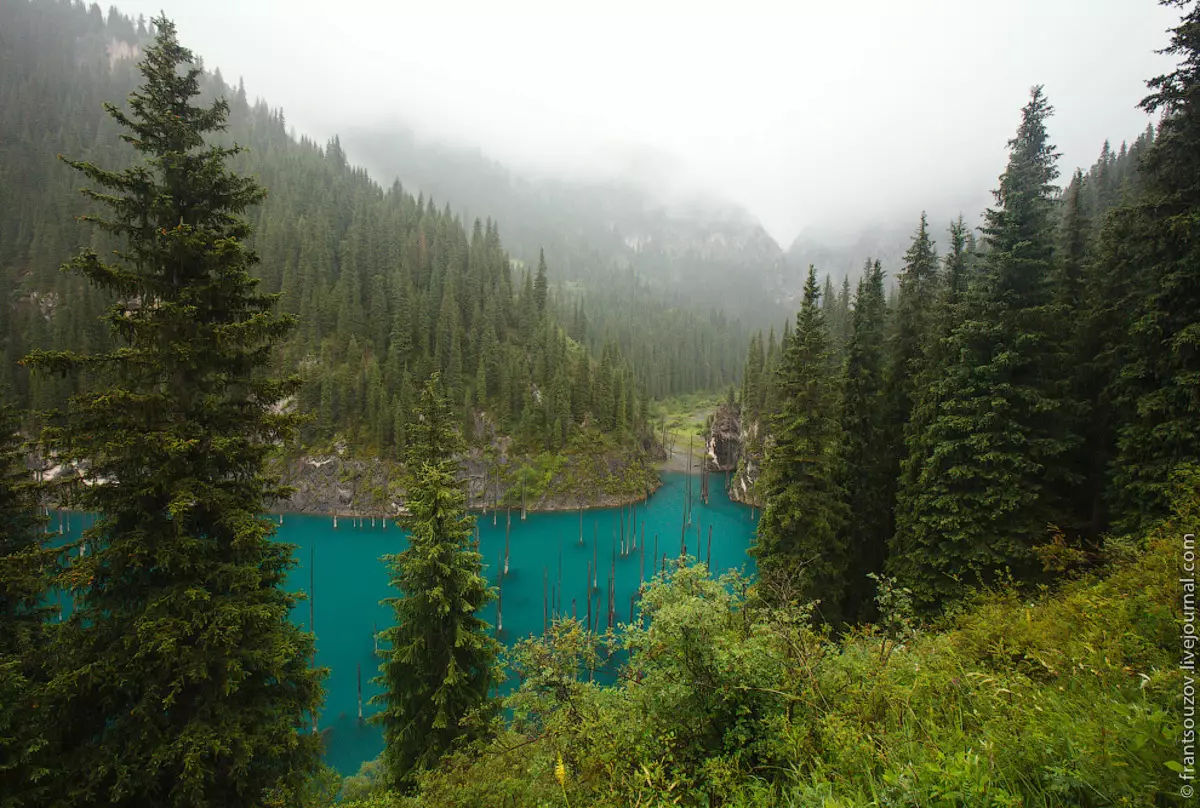 Lac Cains: Forêt noyée