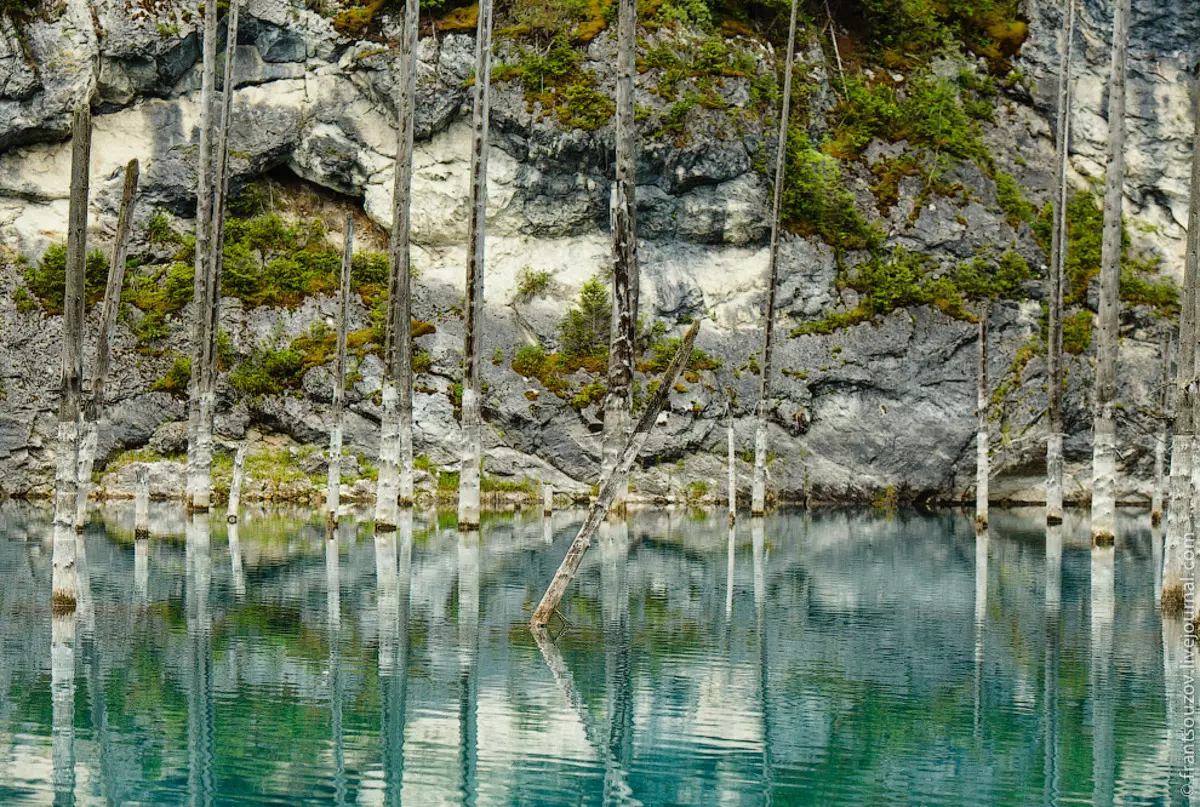 Lac Cains: Forêt noyée 9928_4