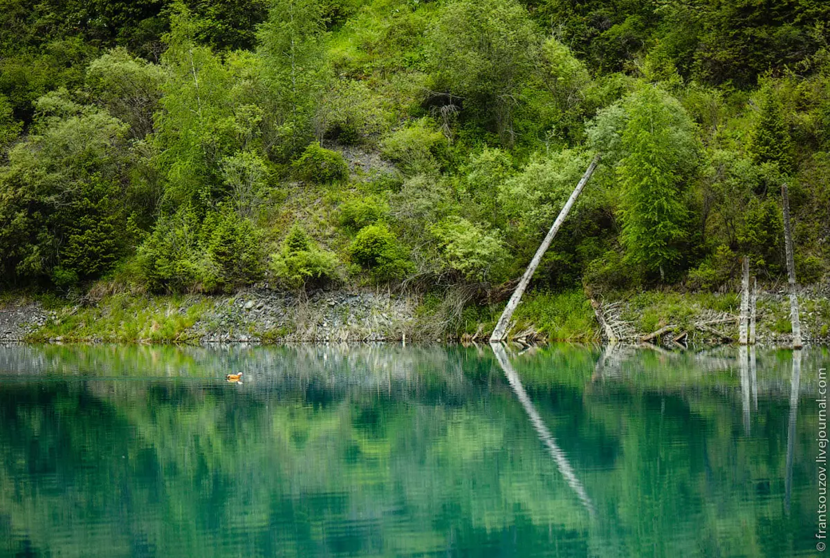 Lake Cains: ป่าจมน้ำ 9928_6