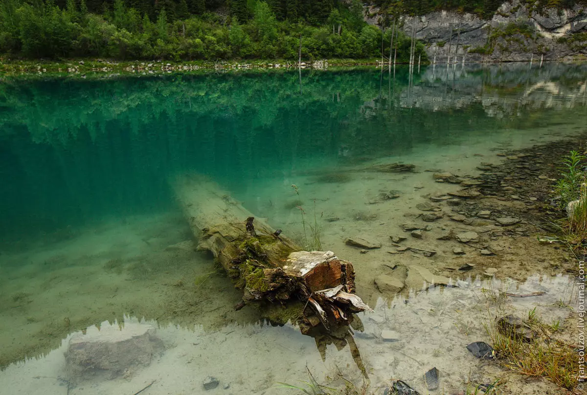 Lac Cains: Forêt noyée 9928_8