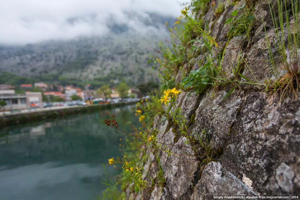 Kotor, Montenegro.