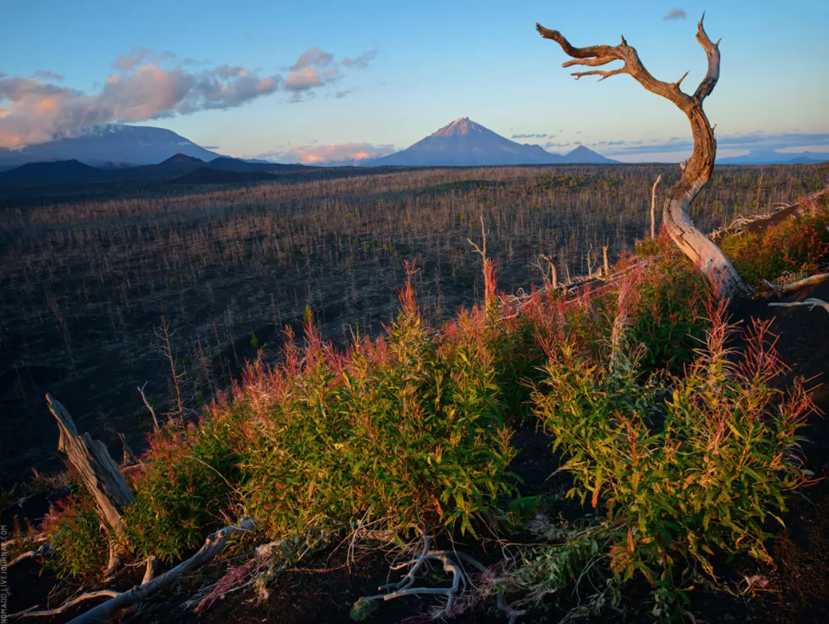 การเดินทาง Kamchatka ใหญ่ 9958_16