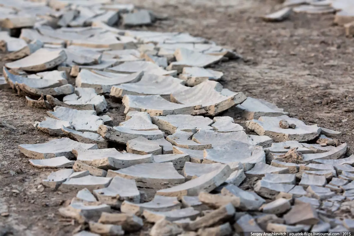 Gobustan mud volcanoes. 9984_14