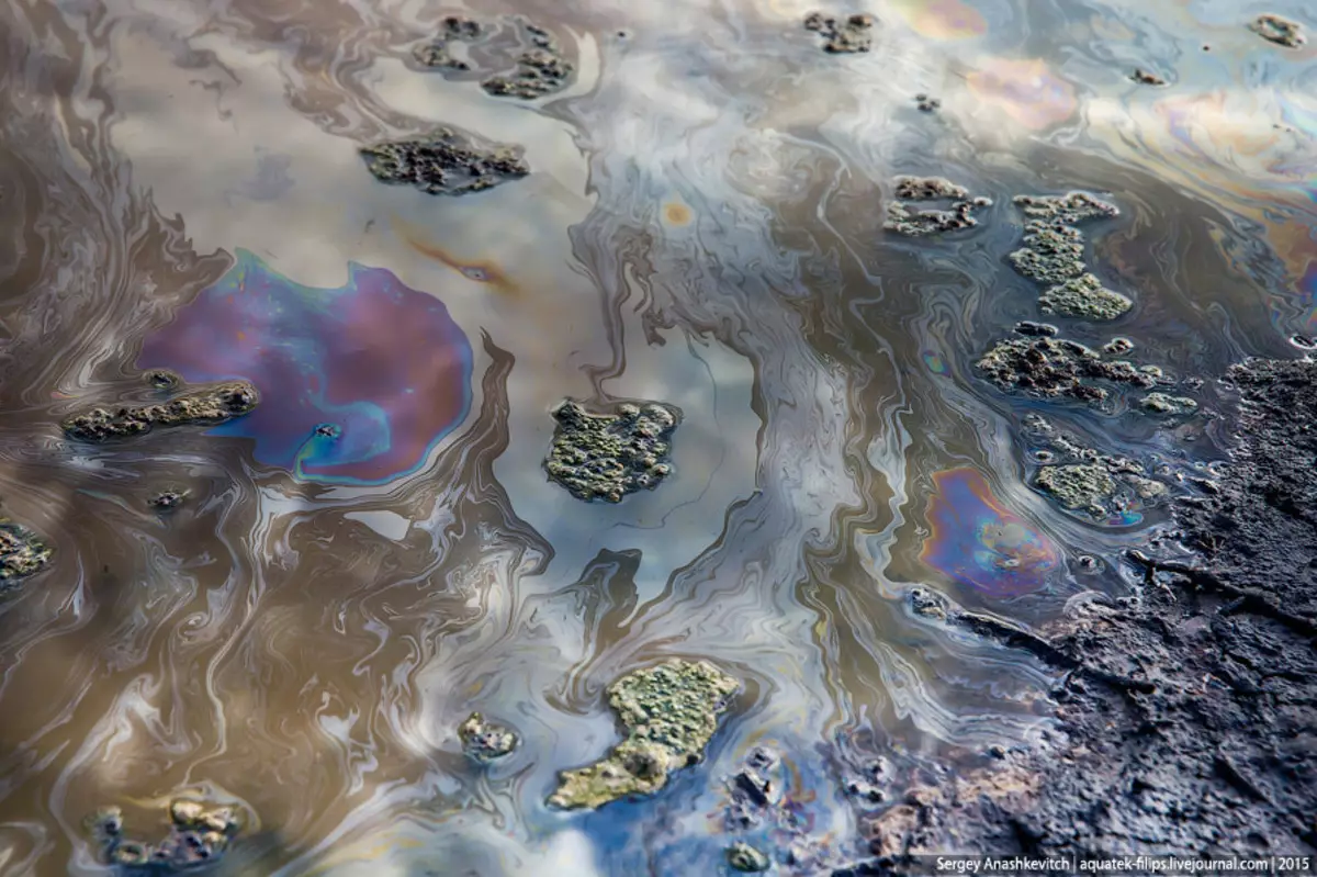 Gobustan Mud Volcanoes 9984_3