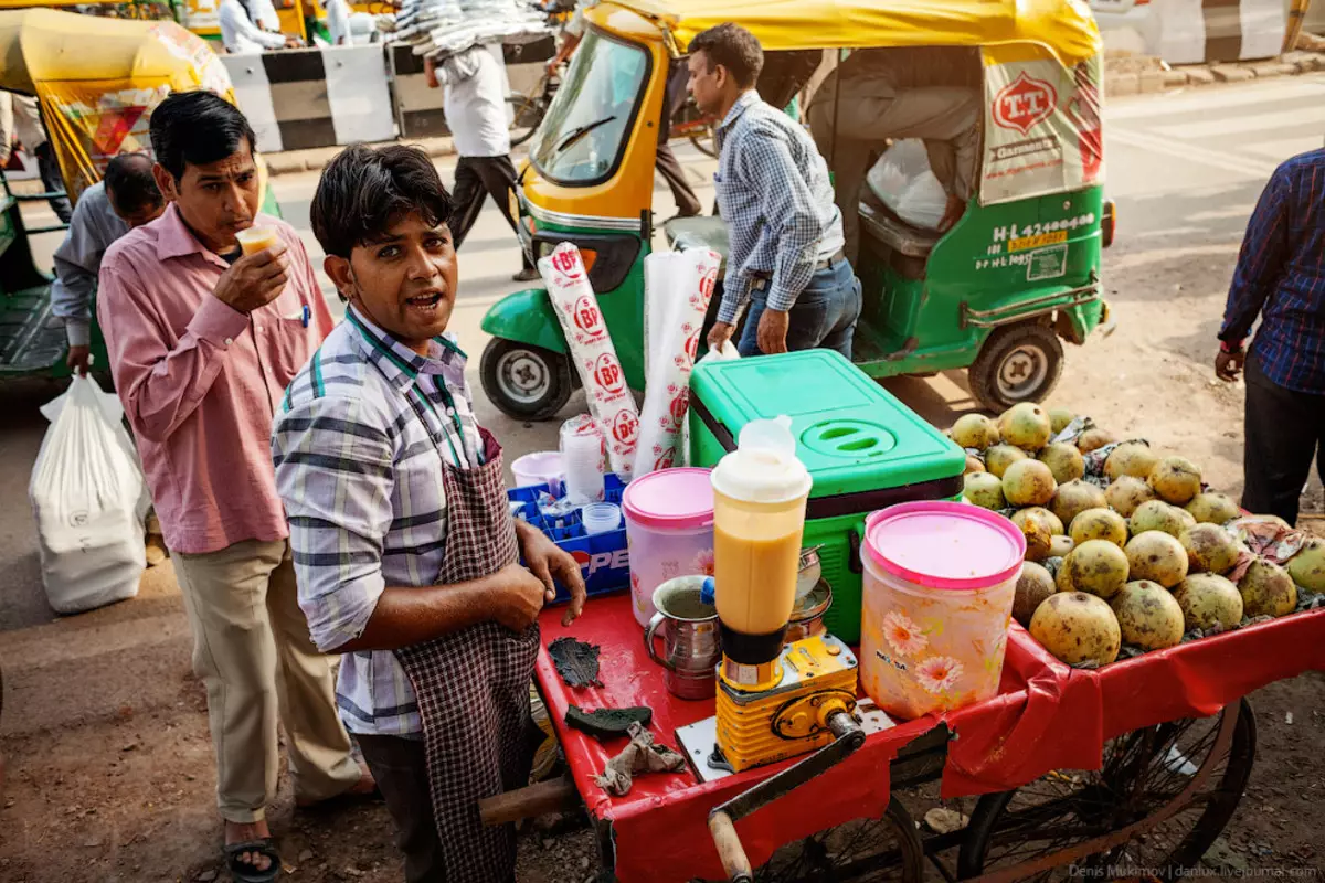 Delhi: Detalės ir lankytinos vietos 9991_4